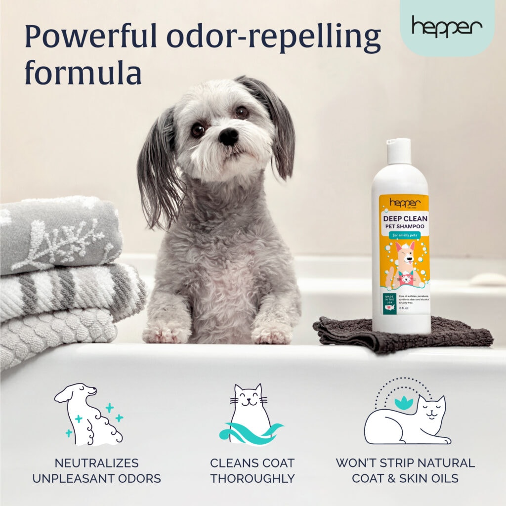 Deep Clean Shampoo - Odor Away Today | Hepper