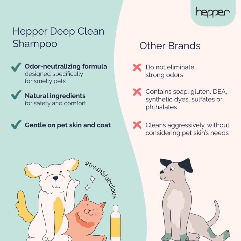 Deep Clean Shampoo - Odor Away Today | Hepper