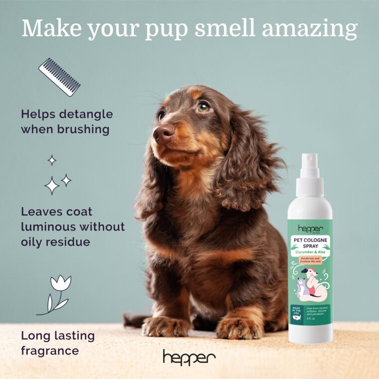 Hepper Pet Cologne (Cucumber & Aloe) - Silky Smooth Coat | Hepper