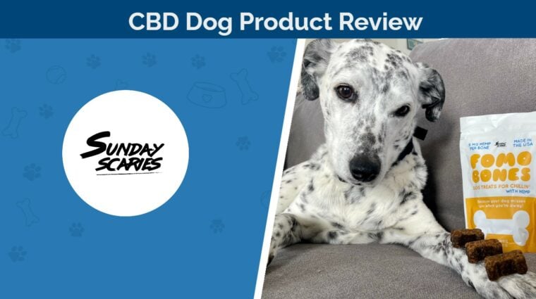 Sunday Scaries Fomo Bones Review 2024 An Expert Guide Hepper