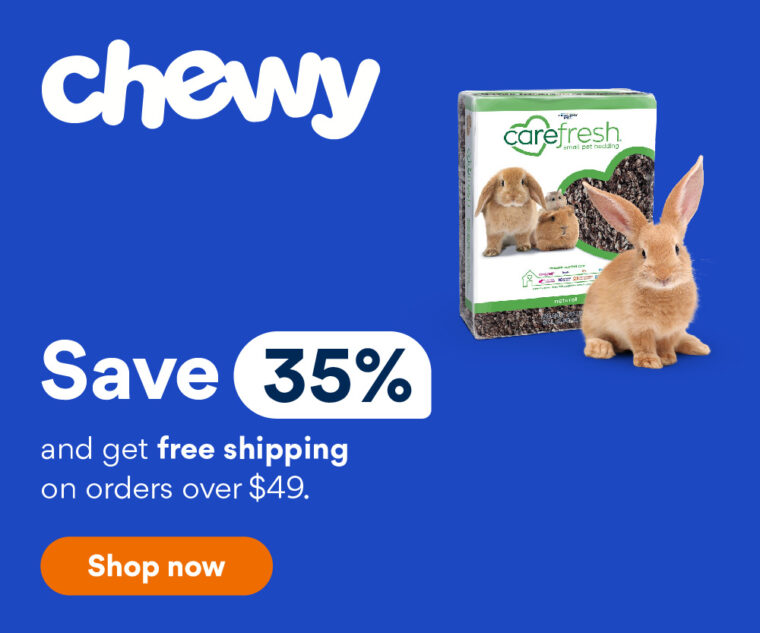 How Much Do Mini Lop Rabbits Cost 2025 Price Update Hepper