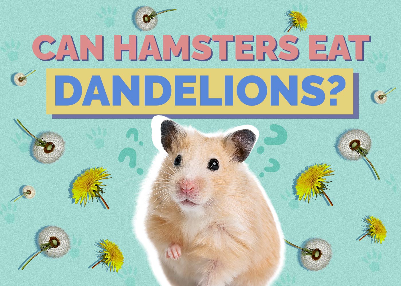 Can Hamsters Eat Dandelions? Vet-Verified Facts & FAQ | Hepper Can Hamsters Eat Dandelions? Vet-Verified Facts & FAQ | Hepper