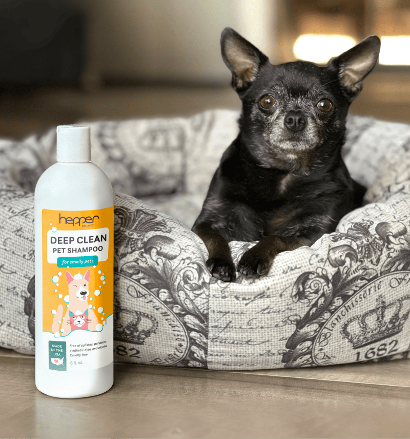 About the Hepper Brand (Modern Pet Furniture Products)