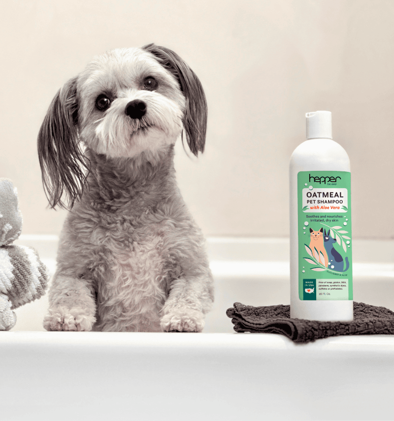 About the Hepper Brand (Modern Pet Furniture Products)