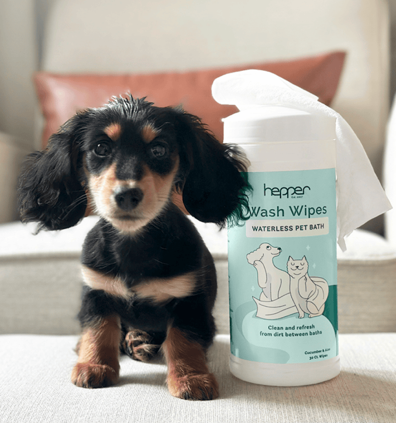 Hepper Nest Cat Bed With Machine-Washable Liner | Hepper