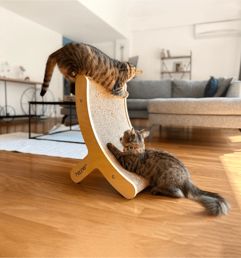 About the Hepper Brand (Modern Pet Furniture Products)