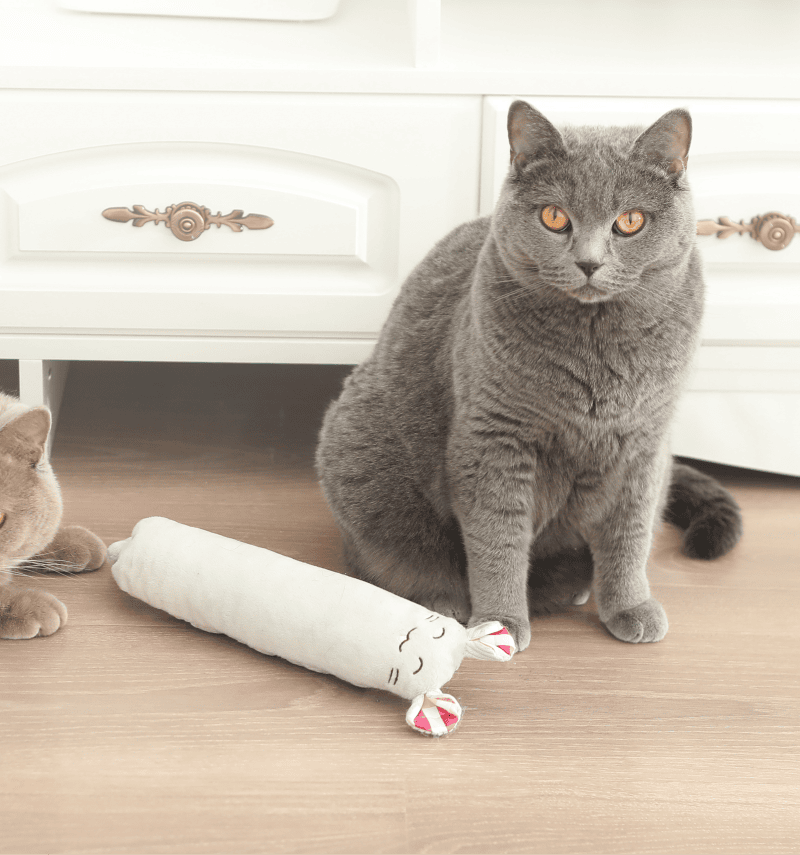 Hepper Beautiful and Modern Home Care | Free Fast Delivery