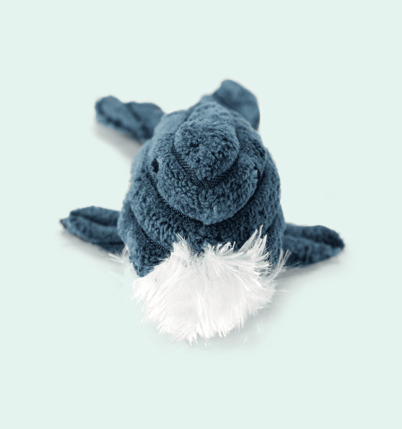 Shop Beautiful and Modern Cat Furniture | Hepper