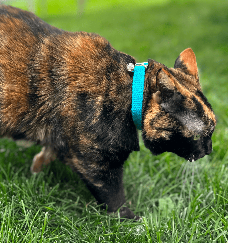 About the Hepper Brand (Modern Pet Furniture Products)