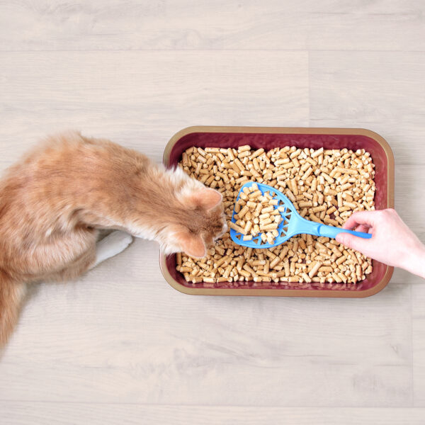 Hepper Cat Litter Additive - Keeps Your Home Fresh | Hepper