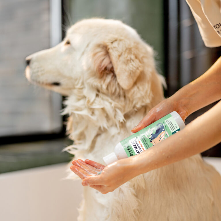 Hepper Colloidal Oatmeal Pet Shampoo (Aloe and Cucumber Scent) | Hepper