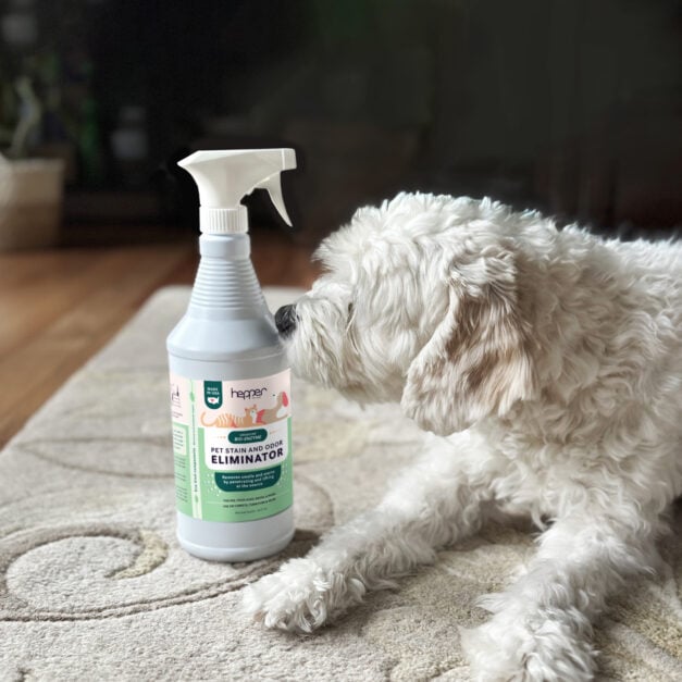 Hepper: Pet Supplies Loved By Cats, Dogs & Veterinarians